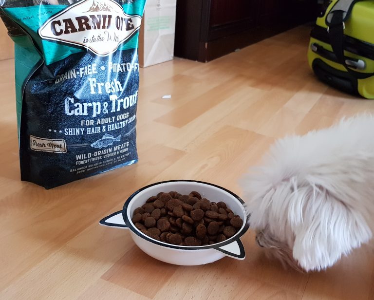 Carnilove Hundefutter - Tinas Hunde testen Leckereien